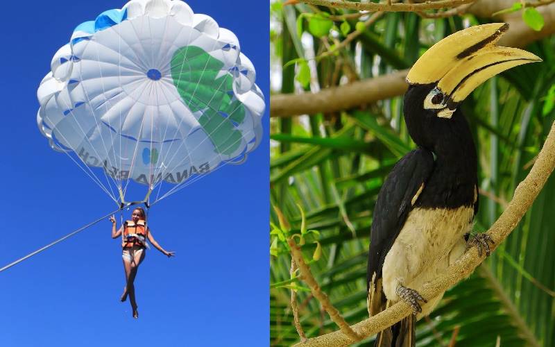 The Best Phuket Island Tours that Boost Your #1 Vacation